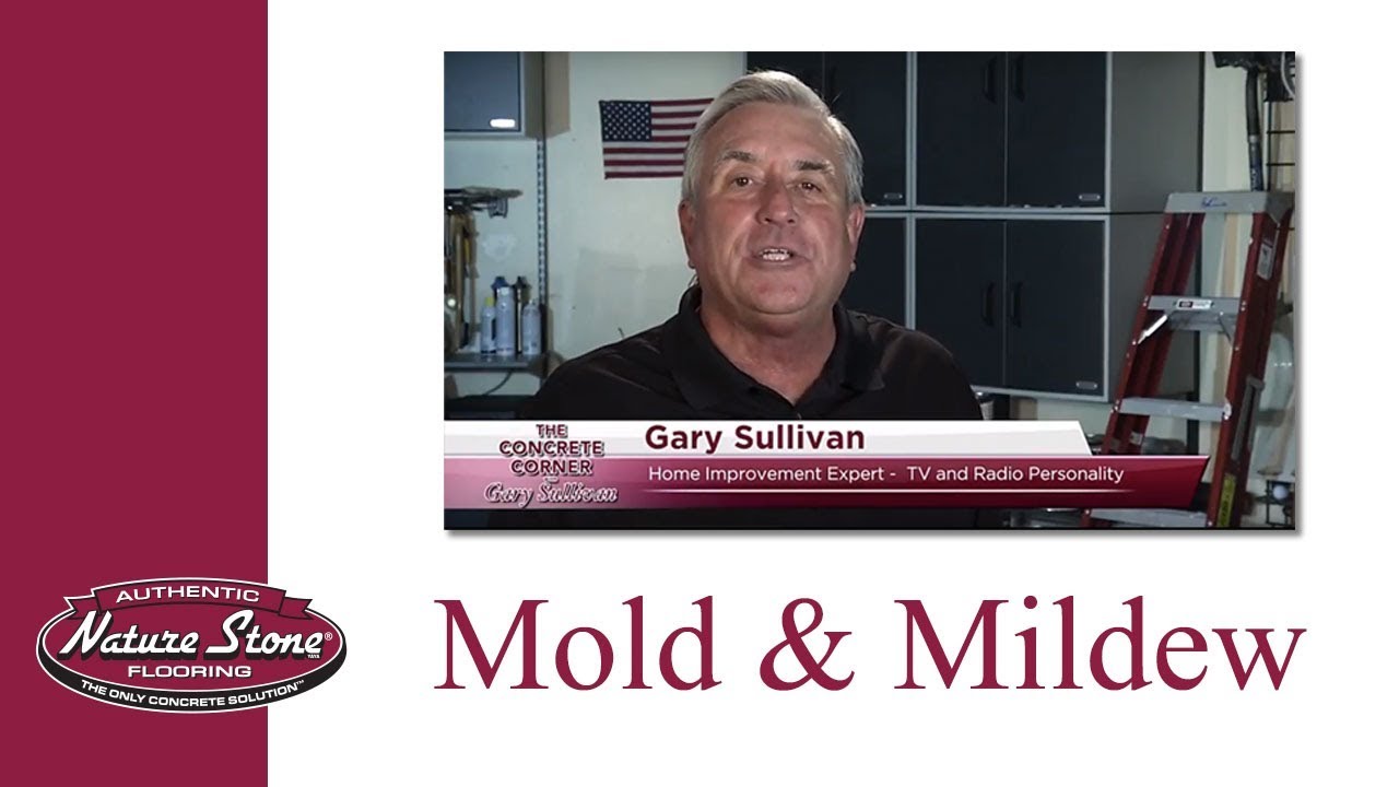 Mold & Mildew: Concrete Corner with Gary Sullivan - YouTube