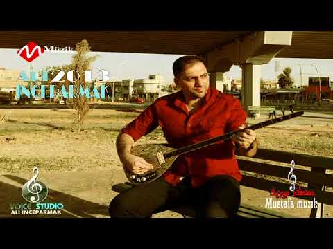 ALI INCEPARMAK - AGAM OLASAN OMER 2013