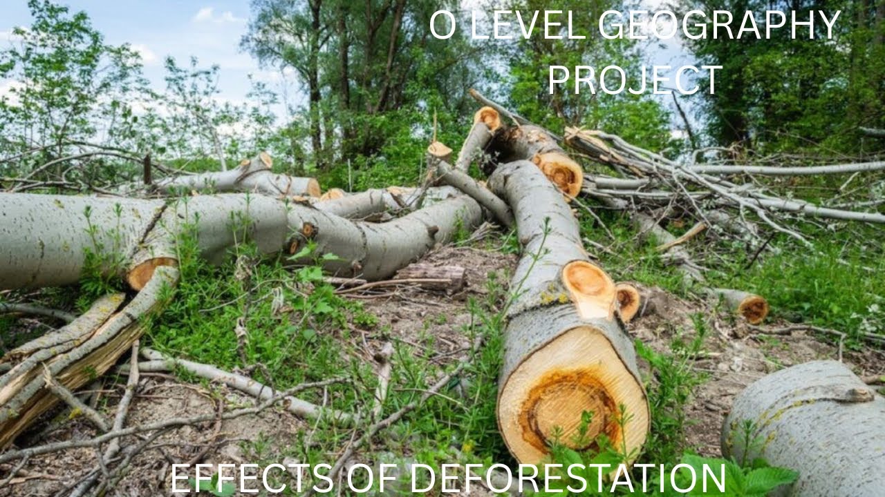 O Level Geography Project #zimsec #olevel #geography - YouTube