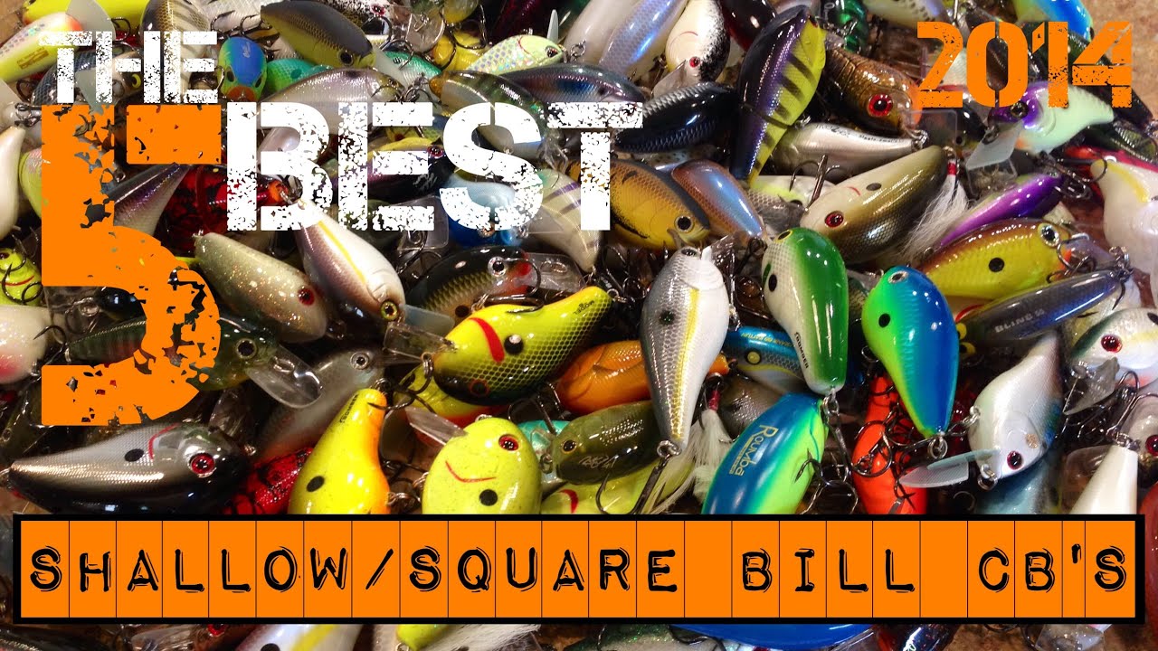The 5 Best Shallow/Squarebill Crankbaits (2014) - YouTube