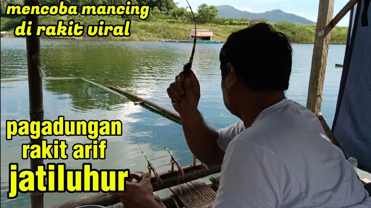 fishing mancing mania mantap//mancing jatiluhur terbaru - YouTube