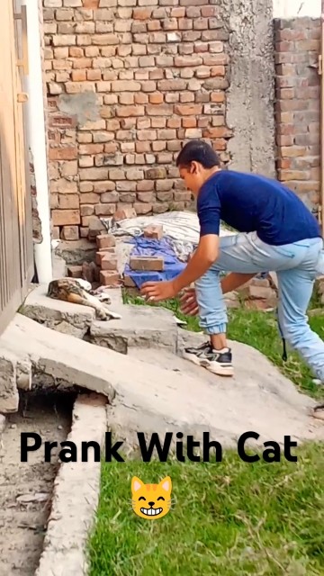 Prank with cat 😸#prank #cat #funny #comedy #viralshorts #catprank # ...