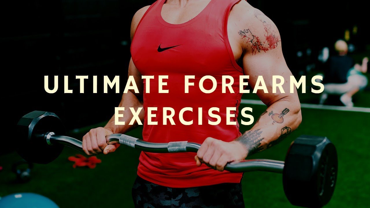 Top 5 Forearms Exercises (Blow Up Your Forearms) - YouTube