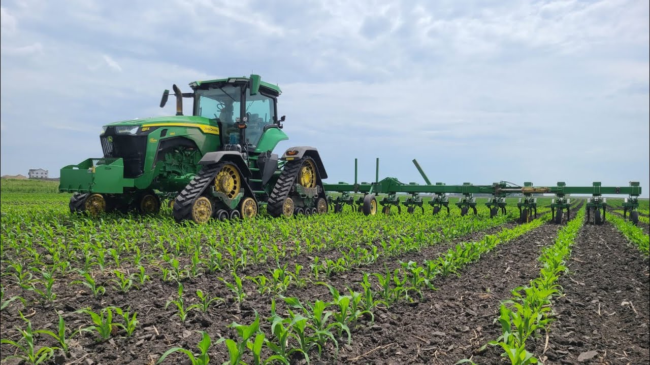 Let The Real Organic Farming Begin… - YouTube