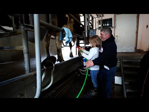 TMK Creamery's Milking with Marc