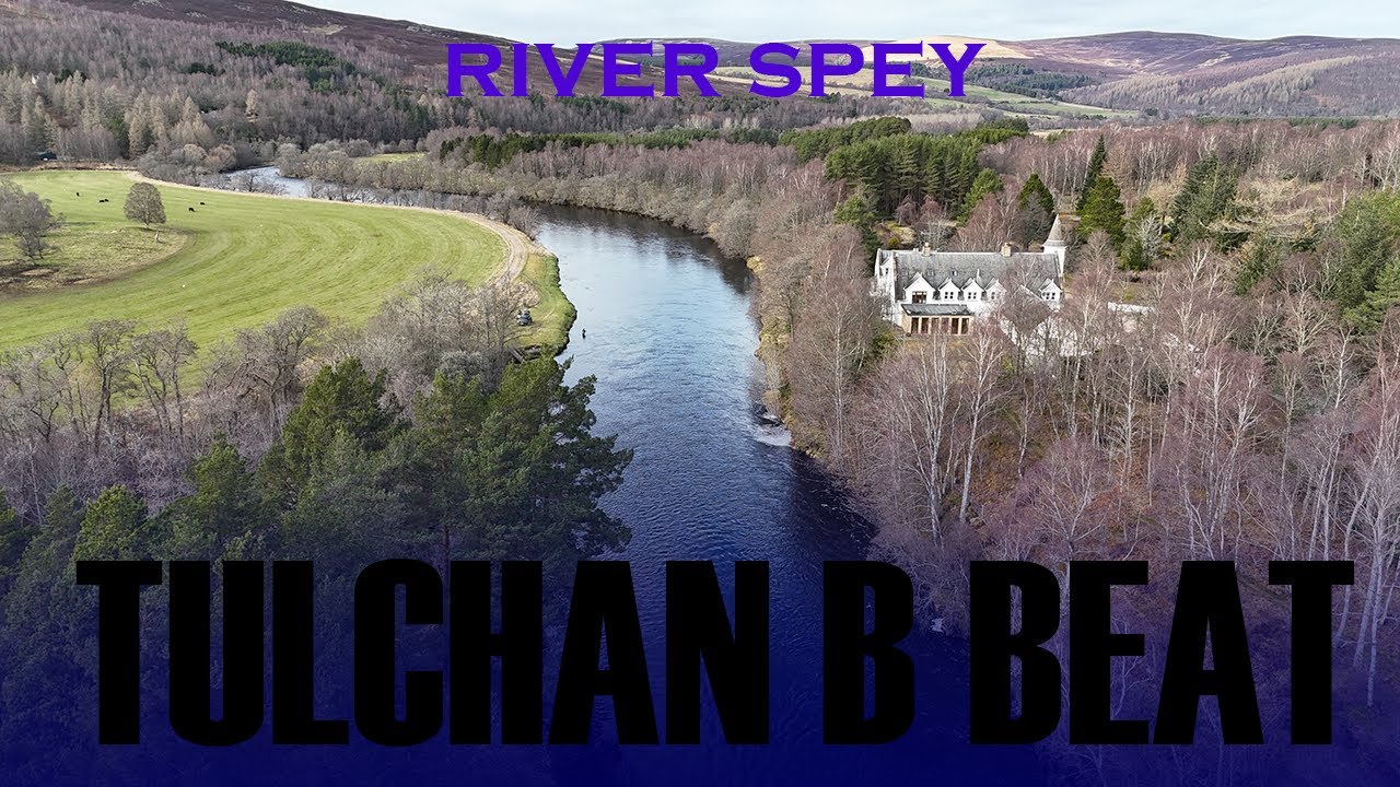 The River Spey - Tulchan B Beat March 2025 - YouTube