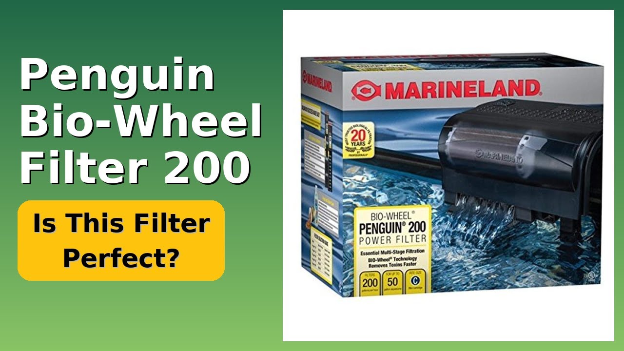 REVIEW (2025): Penguin Bio-Wheel Filter 200. Features. - YouTube