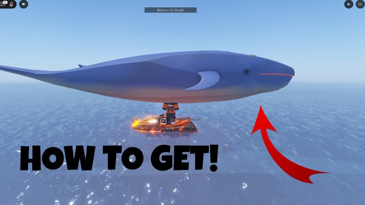 *NEW* HOW To Spawn Whale Migration (Roblox Fisch) - YouTube