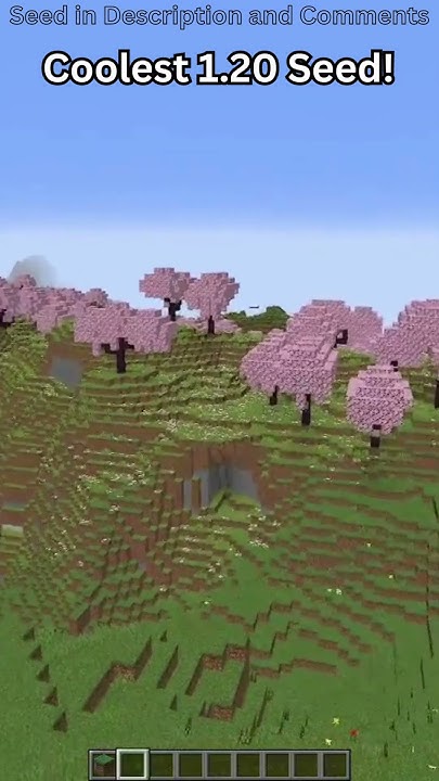 Minecrafts Bests 1.20 seed. Comment Yours!!! - YouTube