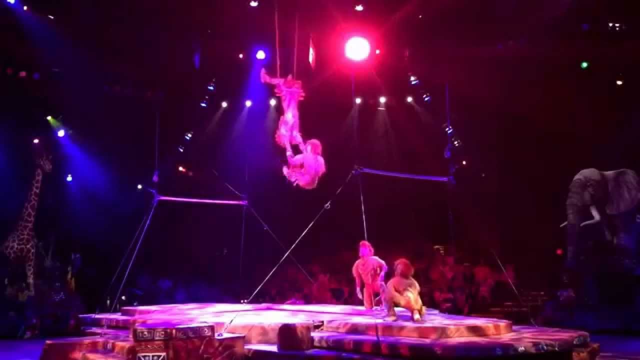 Festival Of The Lion King | Tumble Monkeys [HIGH QUALITY] - YouTube