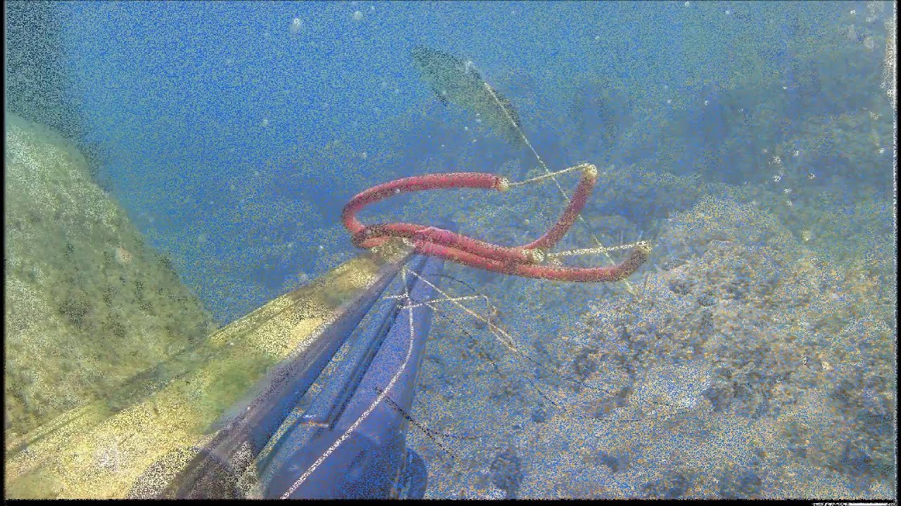 ΨΑΡΟΝΤΟΥΦΕΚΟ ΣΤΑ ΡΗΧΑ - SPEARFISHING VASILAKIS SPIROS - YouTube