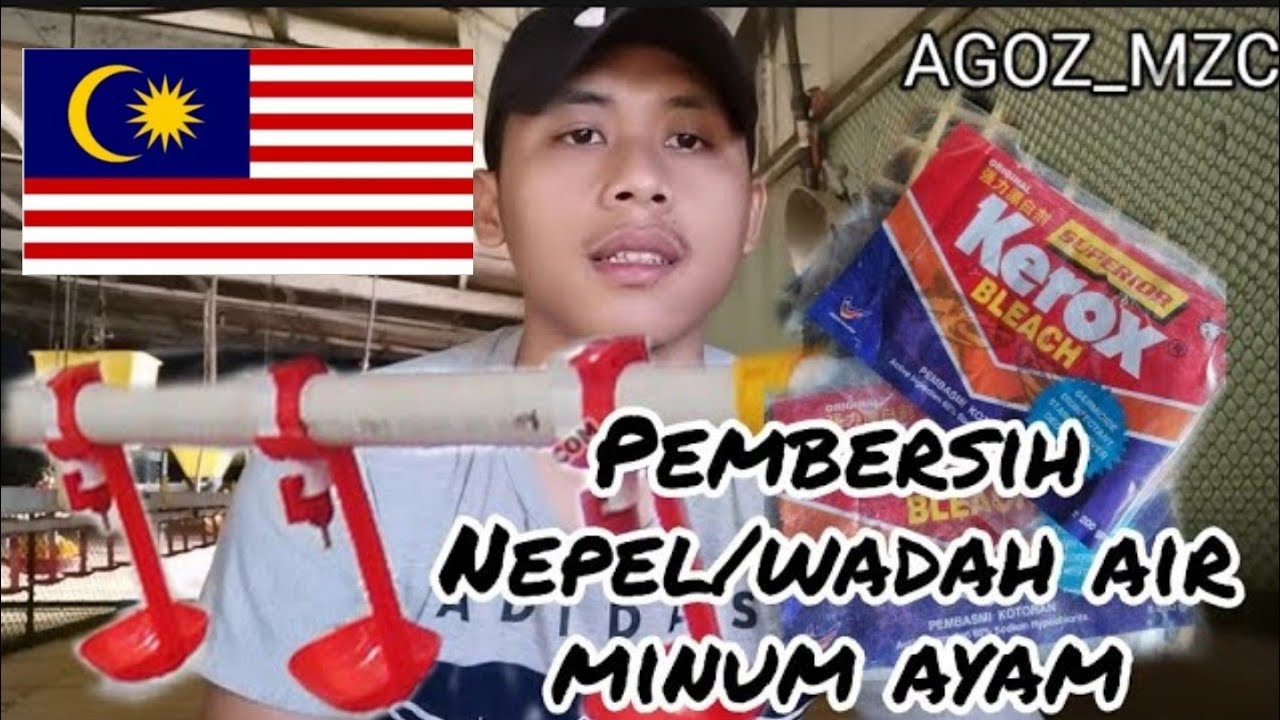 🔴PERSIAPAN SEBELUM DOC🐤🐥 MASUK -PEMBERSIHAN NEPEL AIR MINUM AYAM🔺DENGAN ...