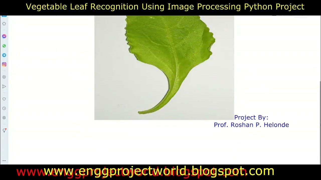 Vegetable Leaf Recognition Using Image Processing Python Project With Source Code Youtube