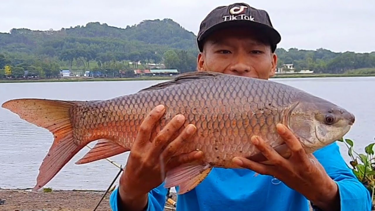 Fishing | 2 days 2 nights hunting Dinosaur fish in a natural lake, Up ...
