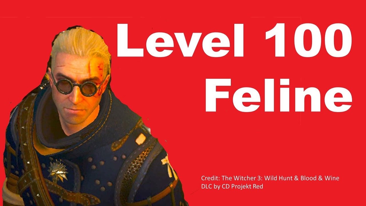 You Must Get Level 100 Cat School Witcher Grandmaster Gear, En, Sup ...