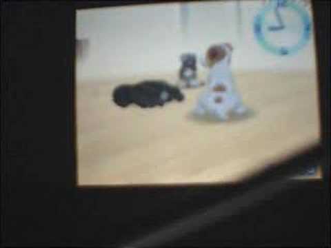 Nintendogs: Dalmation and Friends - Game Review Updated - YouTube