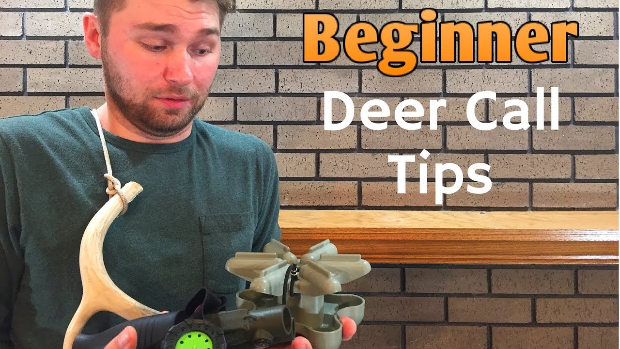 Beginner Deer Calls And How To Use Them YouTube beginner-deer-calls-and-how-to-use-them-youtube
