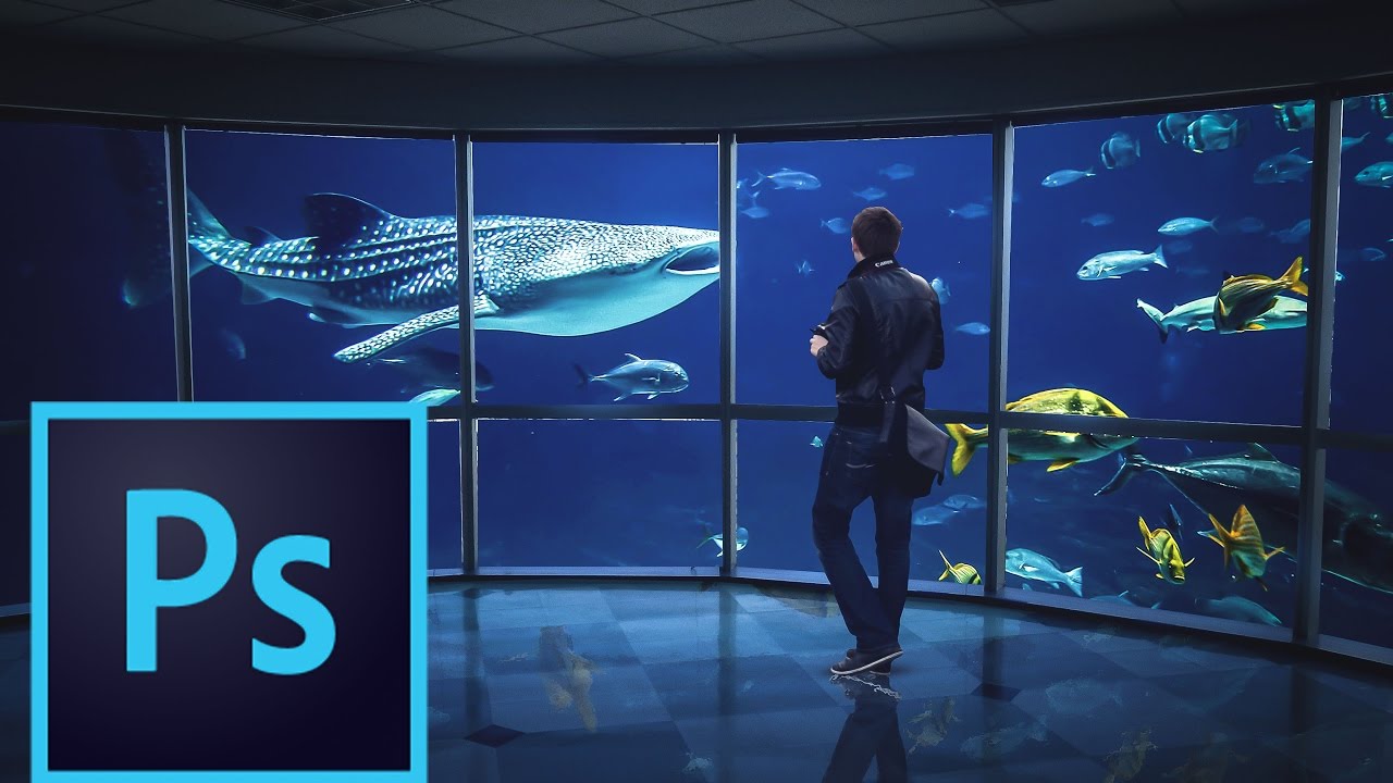 Photoshop tutorial : How to make underwater aquarium photo manipulation ...