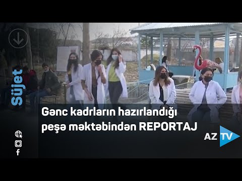 Gənc kadrların hazırlandığı peşə məktəbindən REPORTAJ