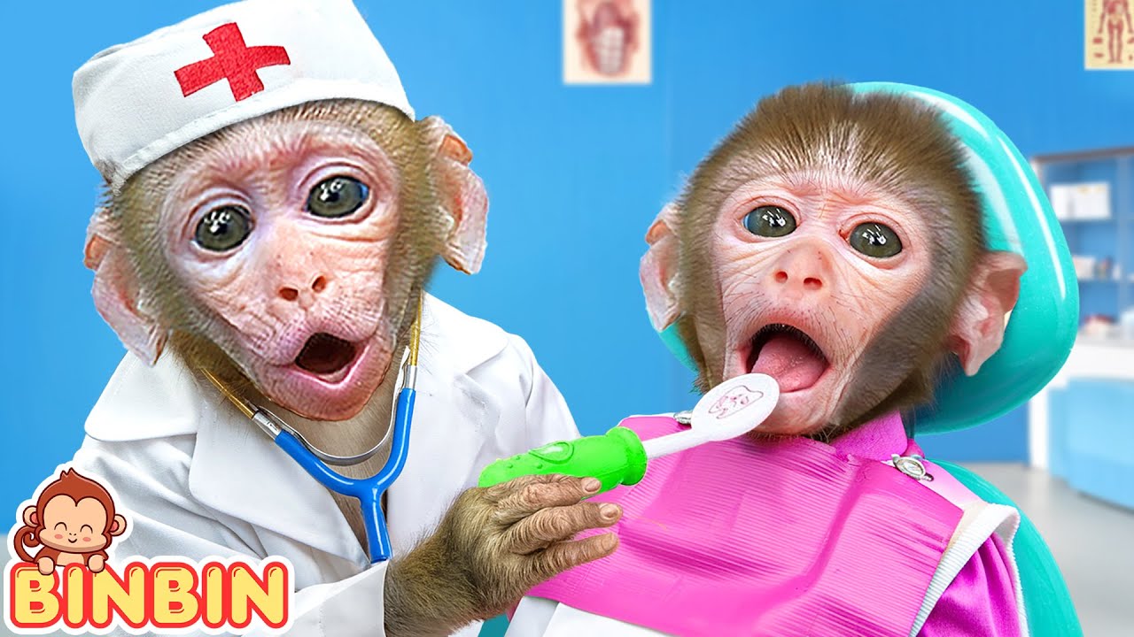 Monkey Binbin Pretend Play at the Doctor' Little Monkey and Help Him with Toothache| MONO BINBIN ...