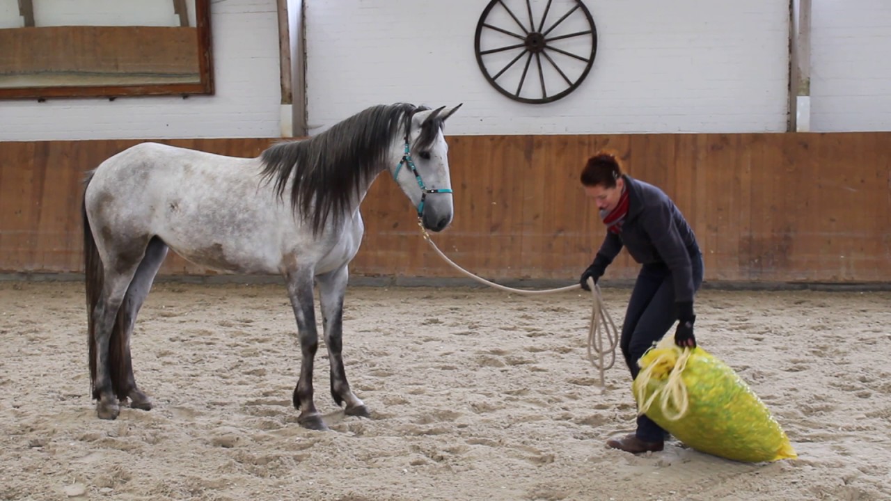 Mustang Makeover - 90 Tage mit einem Mustang (2) - YouTube