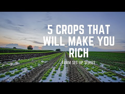Profitable Crops to grow in 2024|| CROPS that will make you RICH # ...