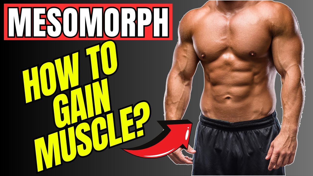 The Easiest Way to Build Muscle as a Mesomorph - YouTube