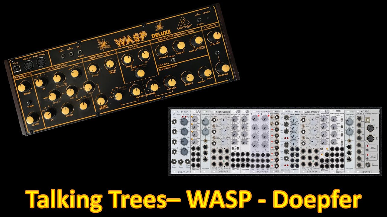 Talking Trees - Behringer WASP - Doepfer Generative Patch - YouTube