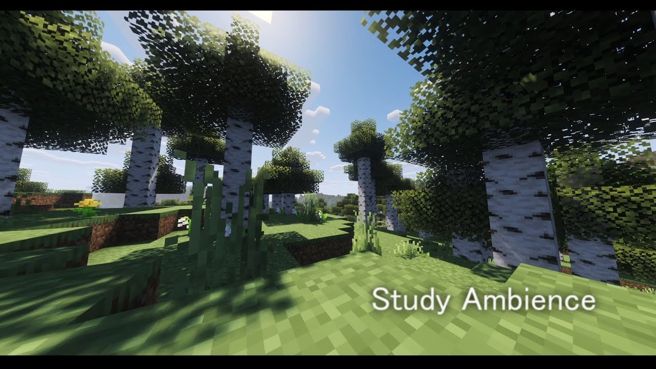 6 Hours of Calm Birch Forest Daytime Ambience | Minecraft Focus & Study ...