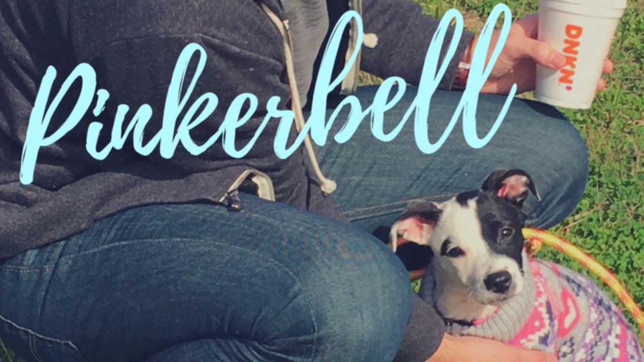 Pinkerbell (Jan 2019 / 4 months old) - YouTube