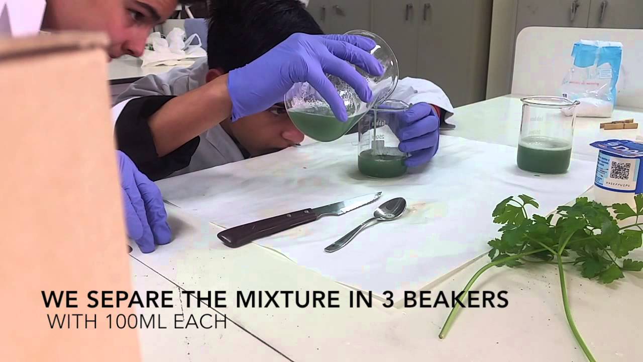 How to Extract DNA from animal organs - YouTube