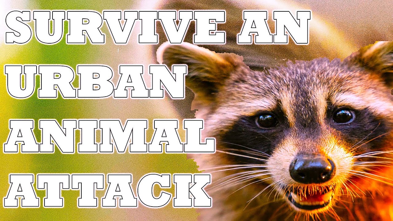 Learn what to do when animals attack in your area. #supermom #emergency ...