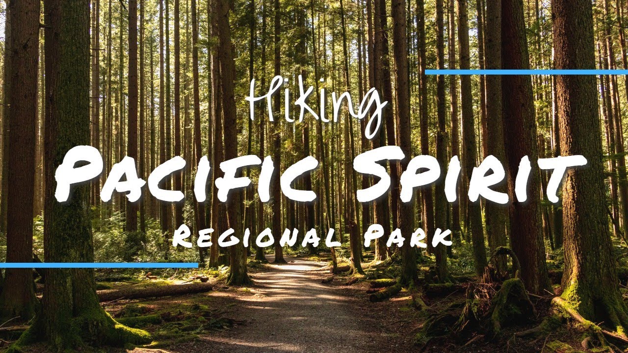 Exploring PACIFIC SPIRIT Regional Park in Vancouver! - YouTube