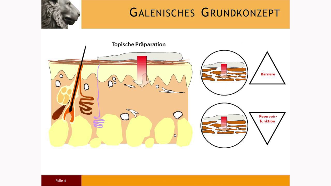 Grundlagen der Topischen Therapie/Johannes Wohlrab - YouTube