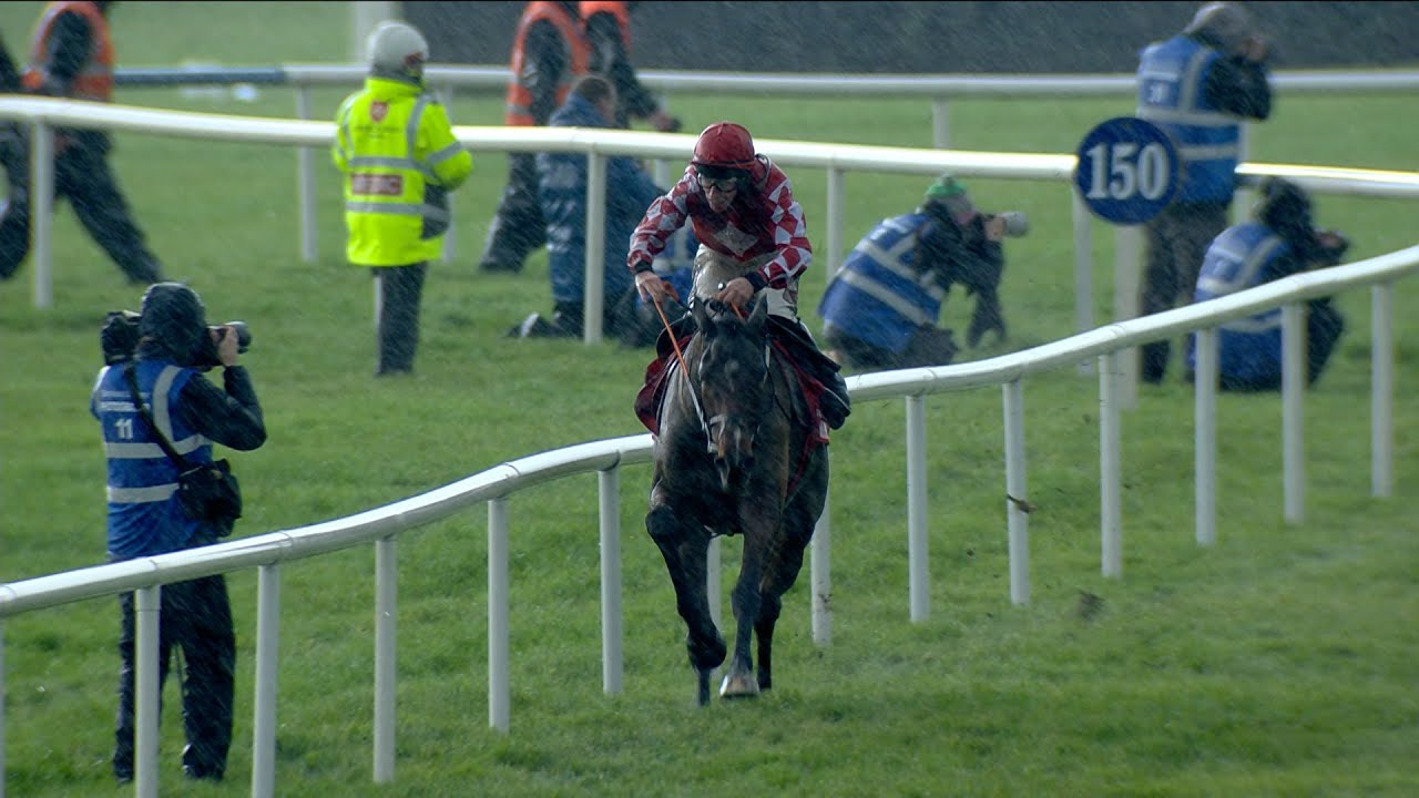 Impressive! MIGHTY POTTER remains unbeaten over fences in Drinmore ...