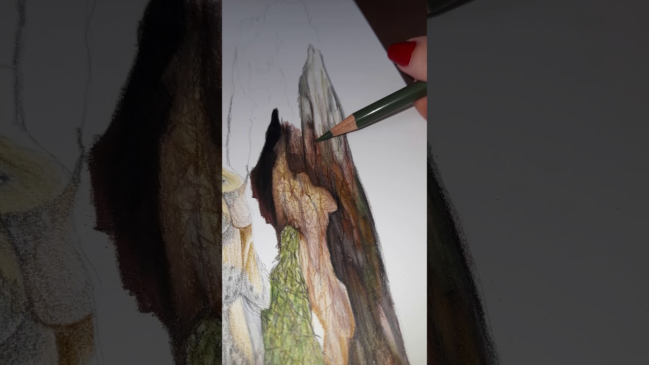 How to draw tree bark - YouTube