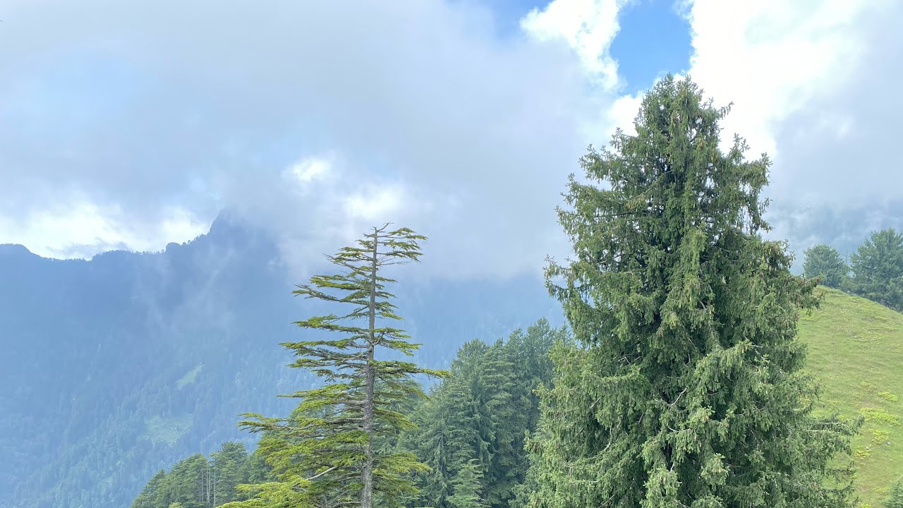 Ye jgha jannat se kam nhi hai #himachalvlog #kullu - YouTube