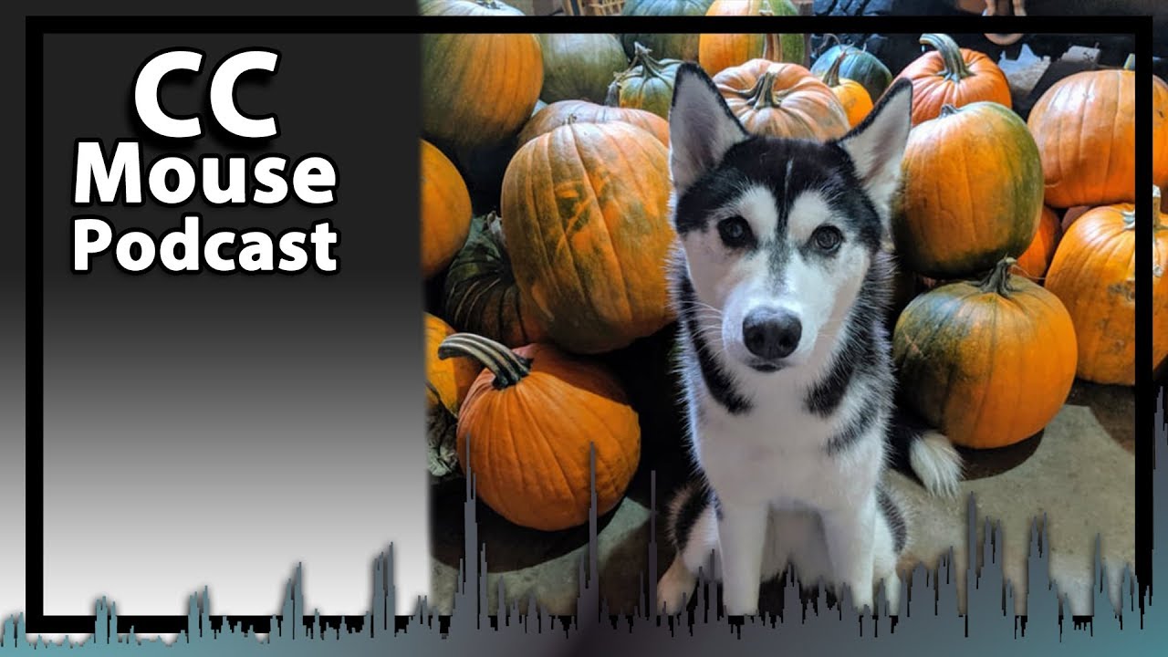 Carving OVER 100 Pumpkins | Audio Podcast 40 - YouTube
