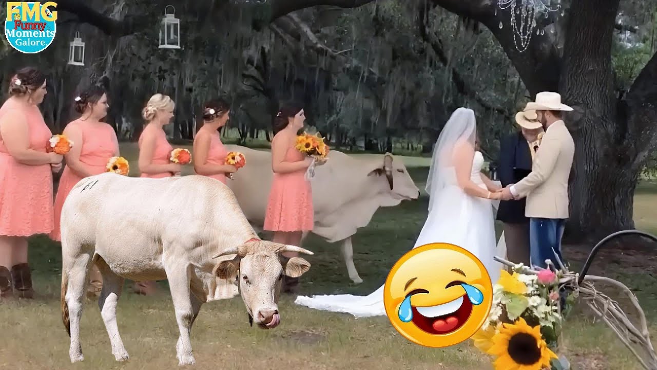 Funny situations, it's time to laugh now!! #21 [Funny Moments Galore ...