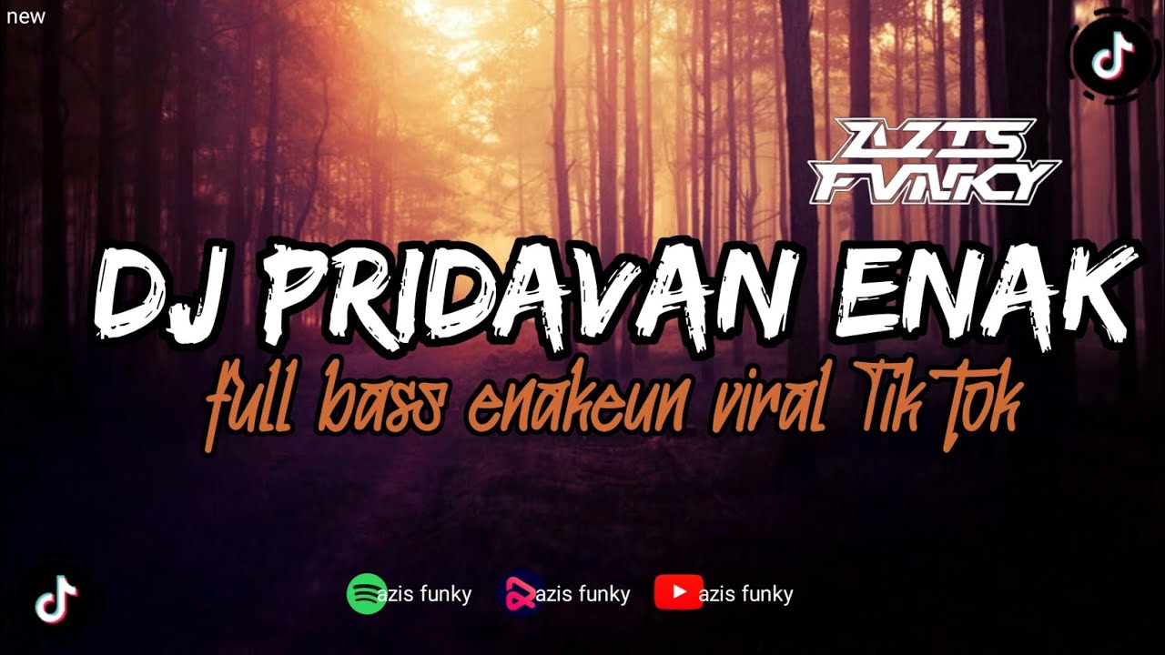 DJ MASHUP PRIDAVAN ENAK FULL BASS ENAKEUN VIRAL TIK TOK - YouTube
