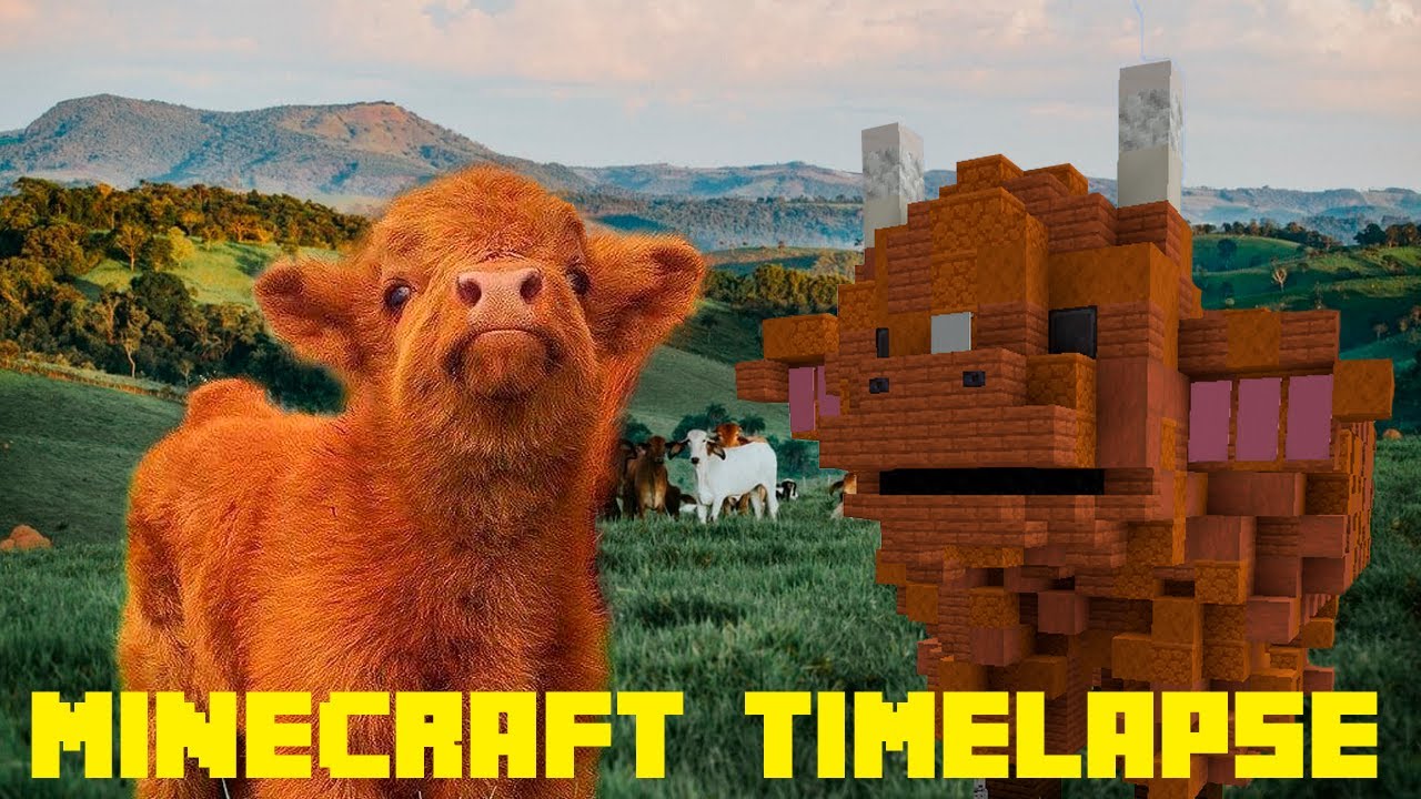 Fluffy cow - Minecraft Timelapse - YouTube