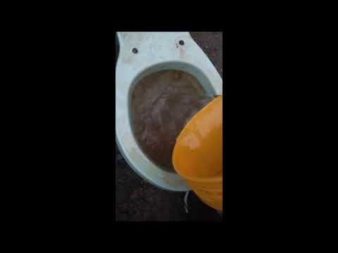 Bucket Flushing my 3 toilets with a big bucket - YouTube
