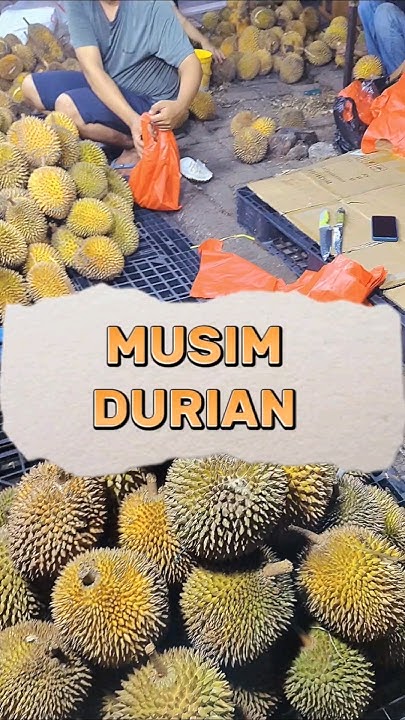 Musim Durian #kuliner #durian #musimdurian - YouTube