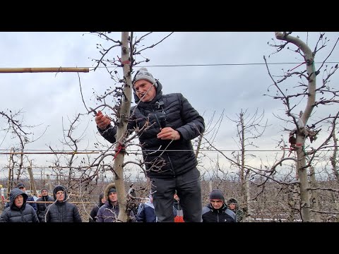 Early Red One Erovan – korekta po cięciu mechanicznym – Marcin ...