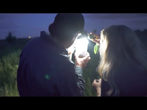 Are There Fireflies In Fort Collins