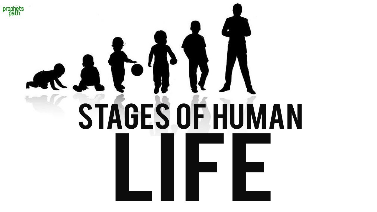 THE STAGES OF HUMAN LIFE (Very Deep) - YouTube