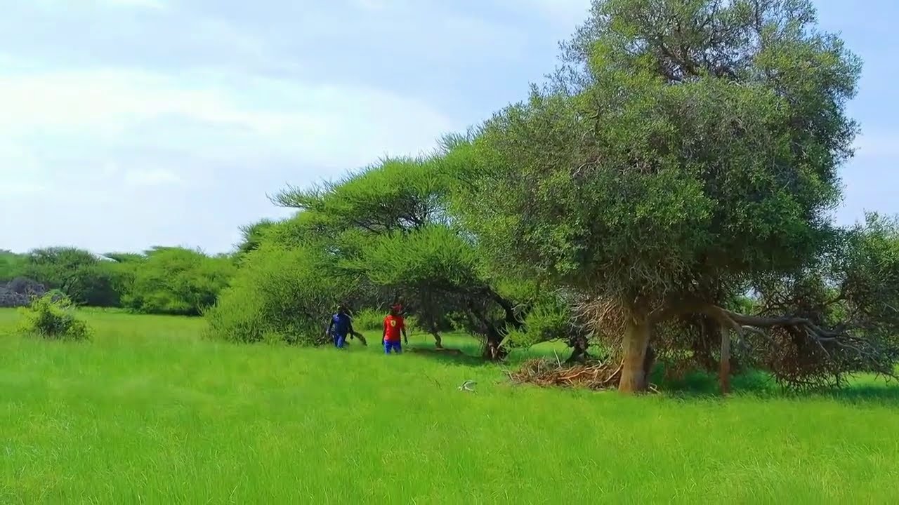 Balliga Burtinle oo Doog ah 2023 | Somalia Beautiful Landscapes 2023 ...