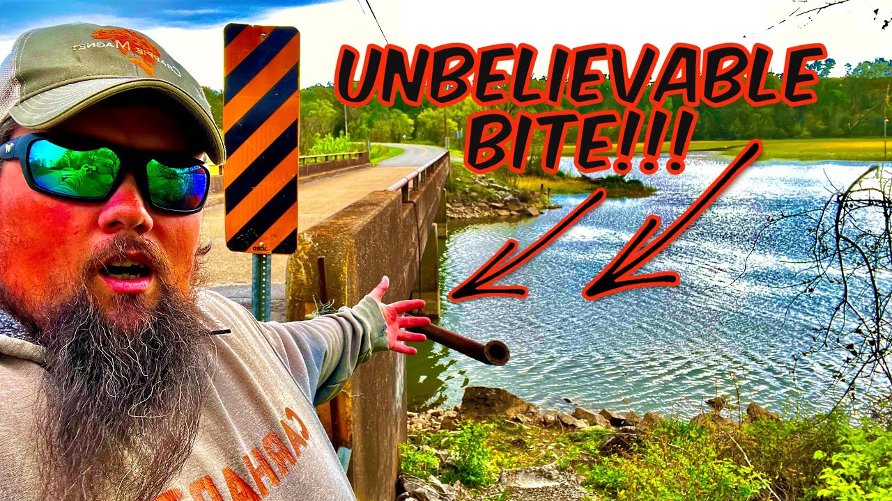 Fish were STACKED under this bridge!!! - YouTube