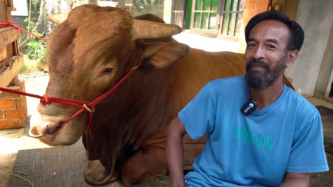 BIKIN K4GET !! BEGINI KARAKTER WARISO SEBELUM DI KANDANG SETIA FARM ...