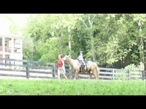 Teaching Kids How To Ride A Horse - YouTube